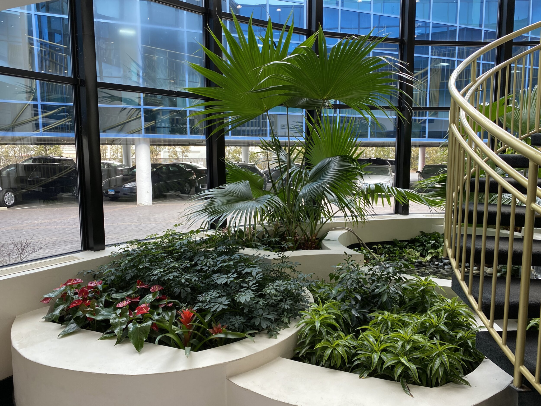 Office Plantscaping: Transform Your Workspace